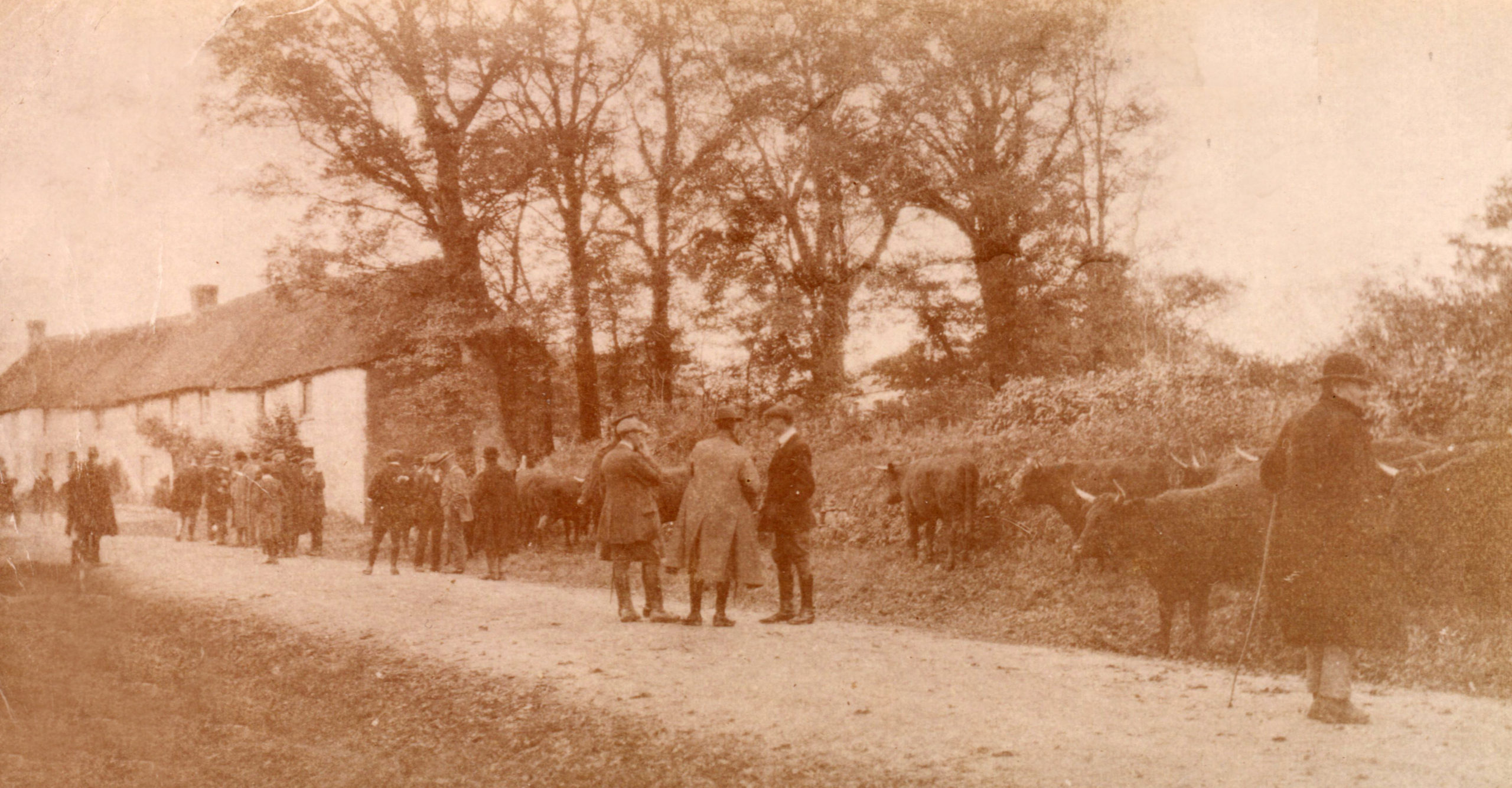 Mitchell – Looking WEst Mitchell Fair – Cornish Story